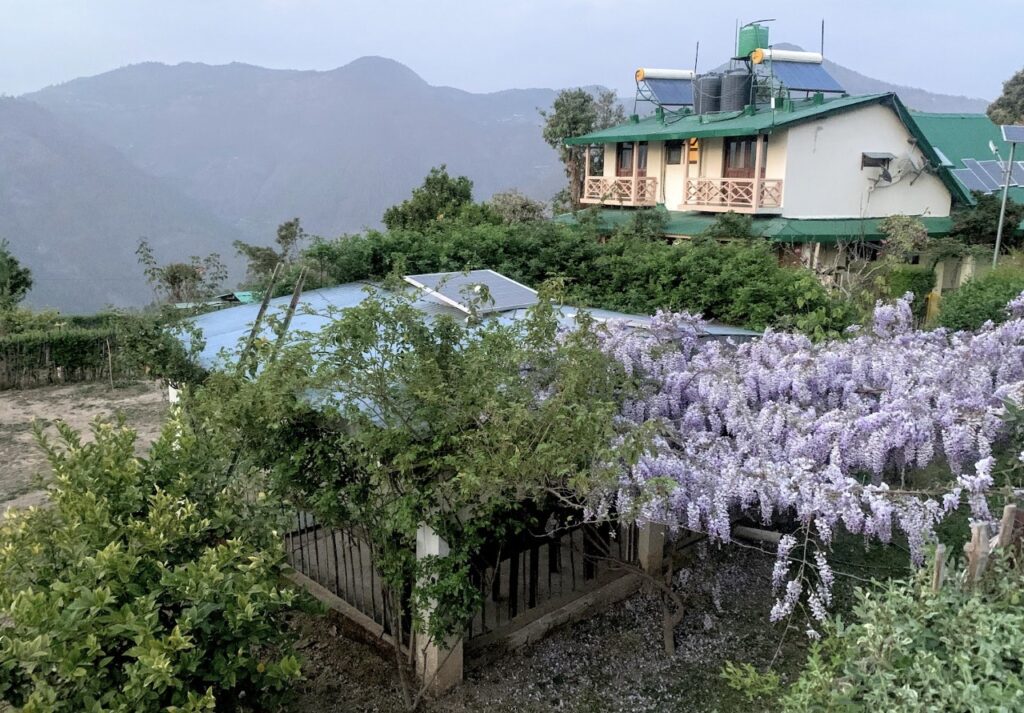 Best Homestay in Nainital | Budget Nainital Hotel: Book Now!